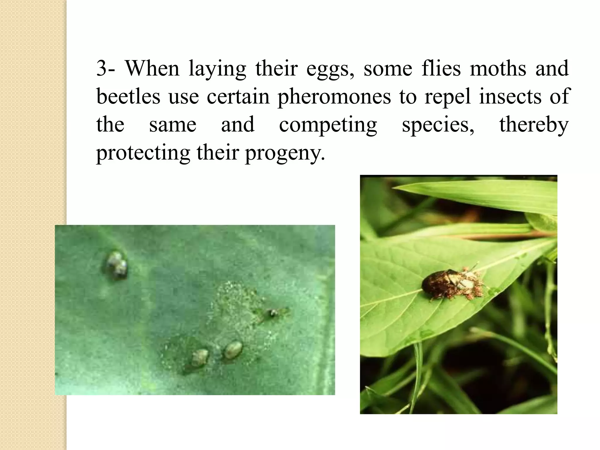 bio communication in insects | PPTX