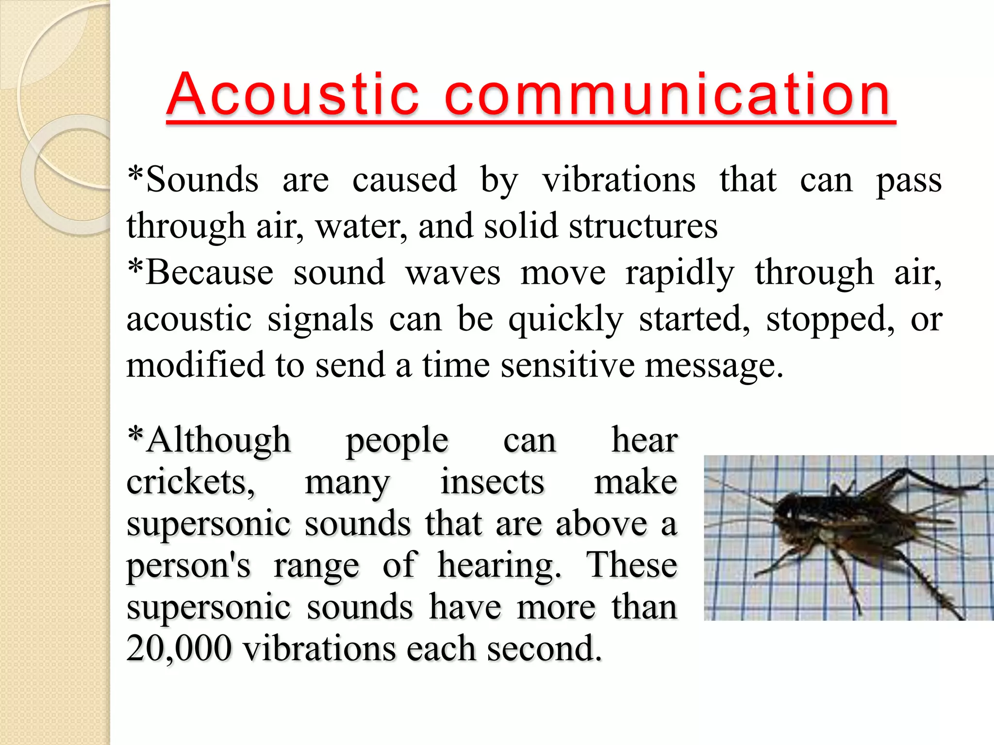 bio communication in insects | PPTX