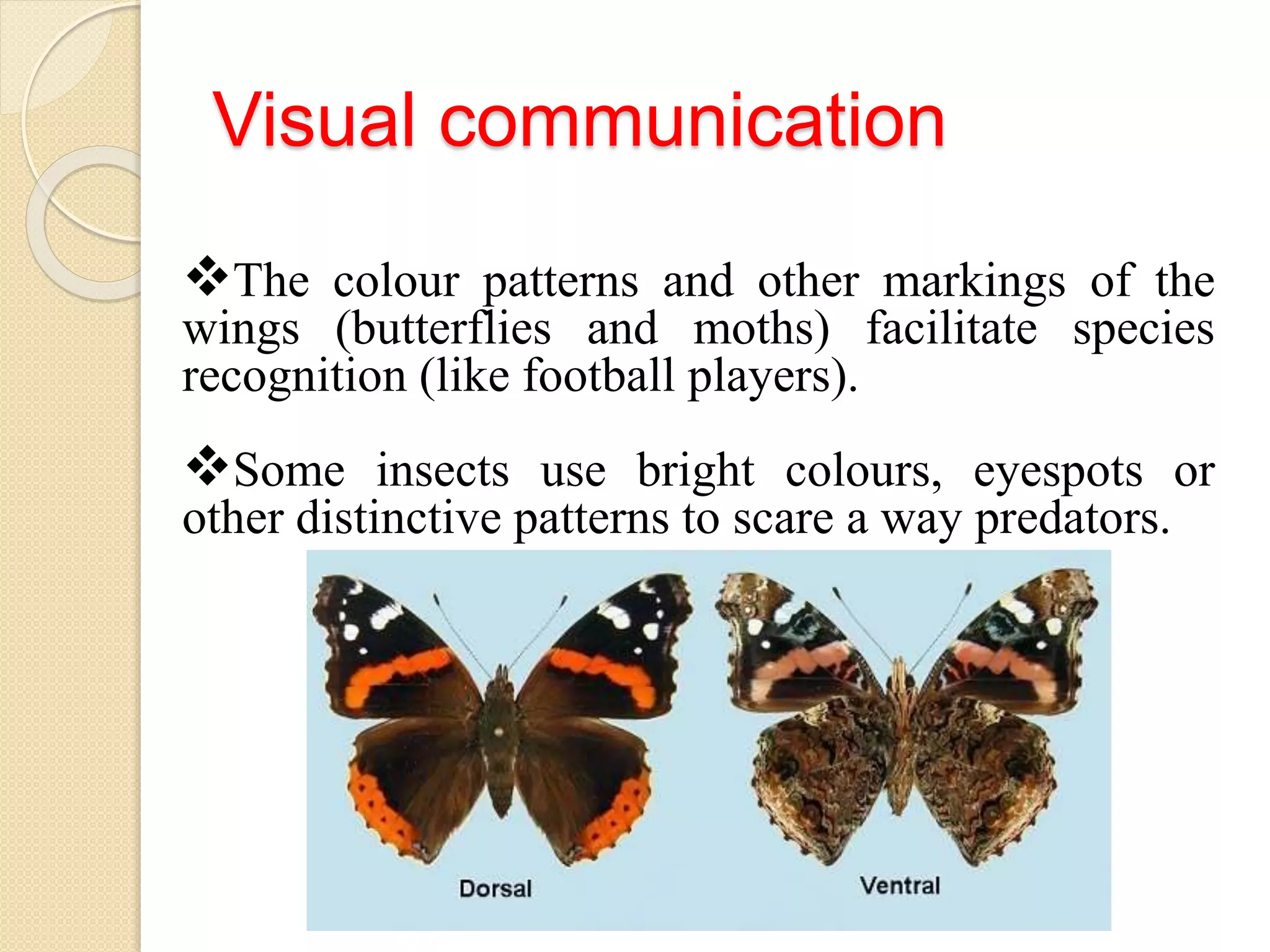bio communication in insects | PPTX