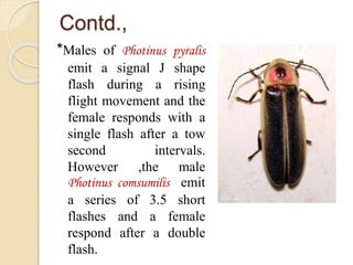 bio communication in insects | PPTX