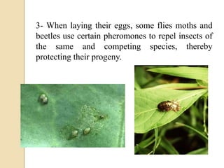 bio communication in insects | PPTX