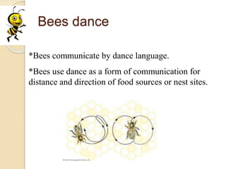 bio communication in insects | PPTX