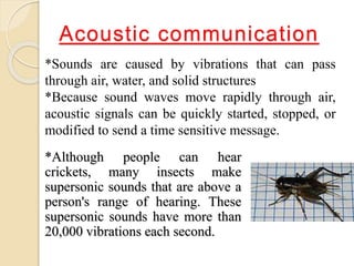 bio communication in insects | PPTX