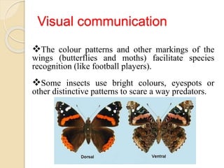 bio communication in insects | PPTX