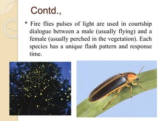 bio communication in insects | PPTX
