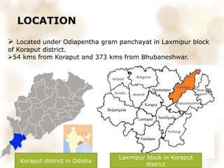 Exploratory study of Biriguda village in Odisha | PPTX