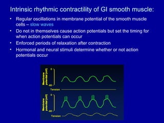 Gut motility lecture | PPT