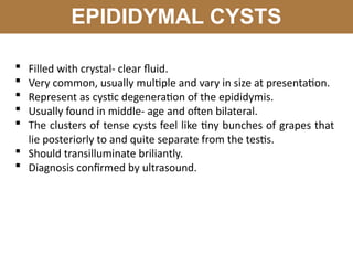 latestinguinalscrotaldisease-190404051959.pptx