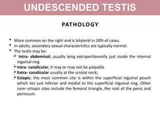 latestinguinalscrotaldisease-190404051959.pptx