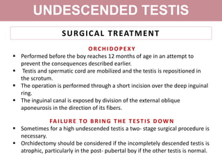 Inguinalscrotal Disease | PPTX