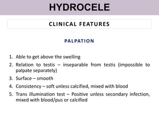 Inguinalscrotal Disease | PPTX