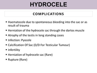 Inguinalscrotal Disease | PPTX