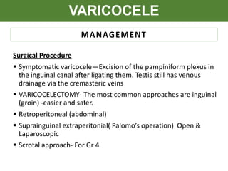 Inguinalscrotal Disease | PPTX