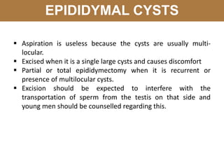 Inguinalscrotal Disease | PPTX