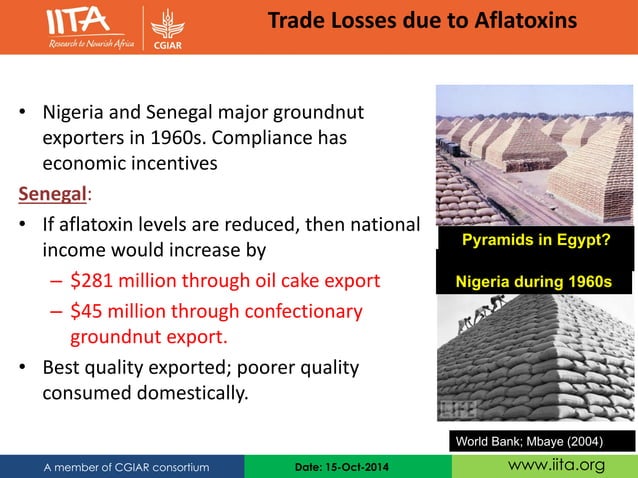 Latest Innovations by IITA in Maize and Groundnut Value chain | PPT