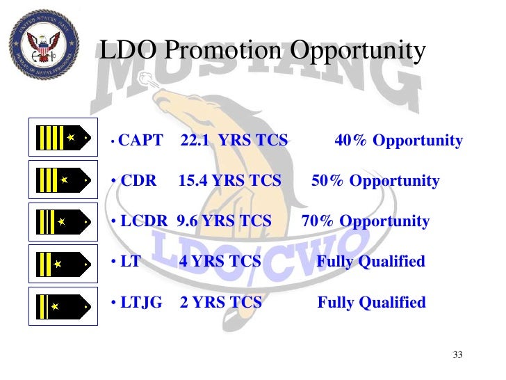 LDO CWO applicantbrief