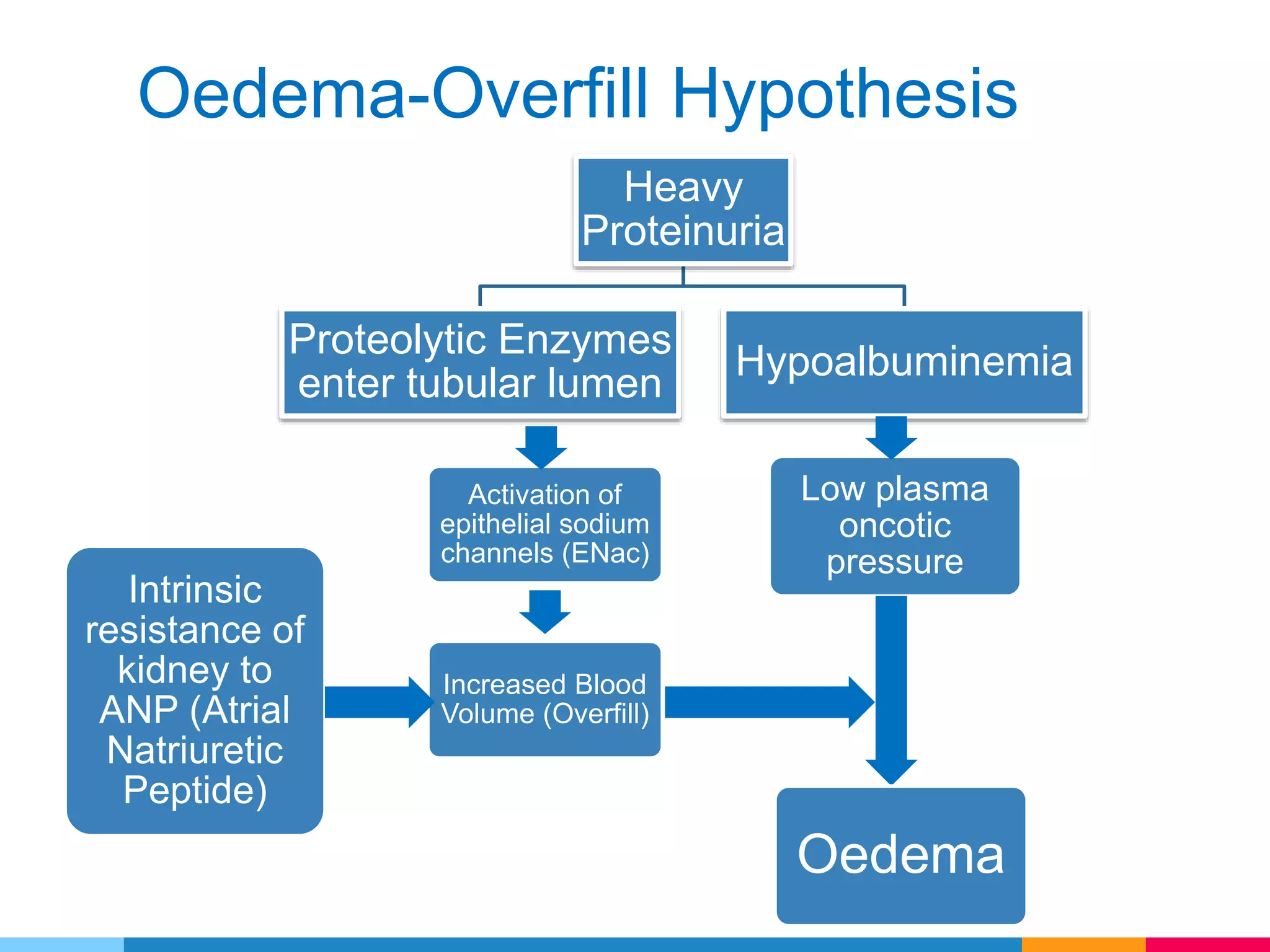 Biochemistry of Nephrotic Syndrome | PPTX