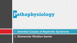 Acute nephrotic syndromes | PPT
