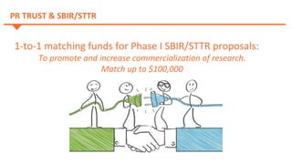 Submitting Successful NIH SBIR / STTR Proposals | PDF