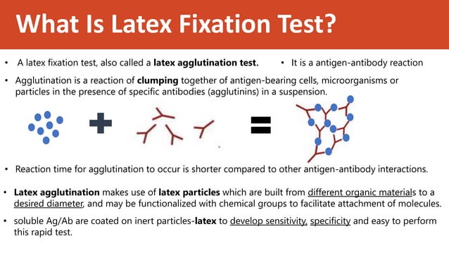 Latex Fixation Test .pptx | Infectious Diseases | Diseases and Conditions