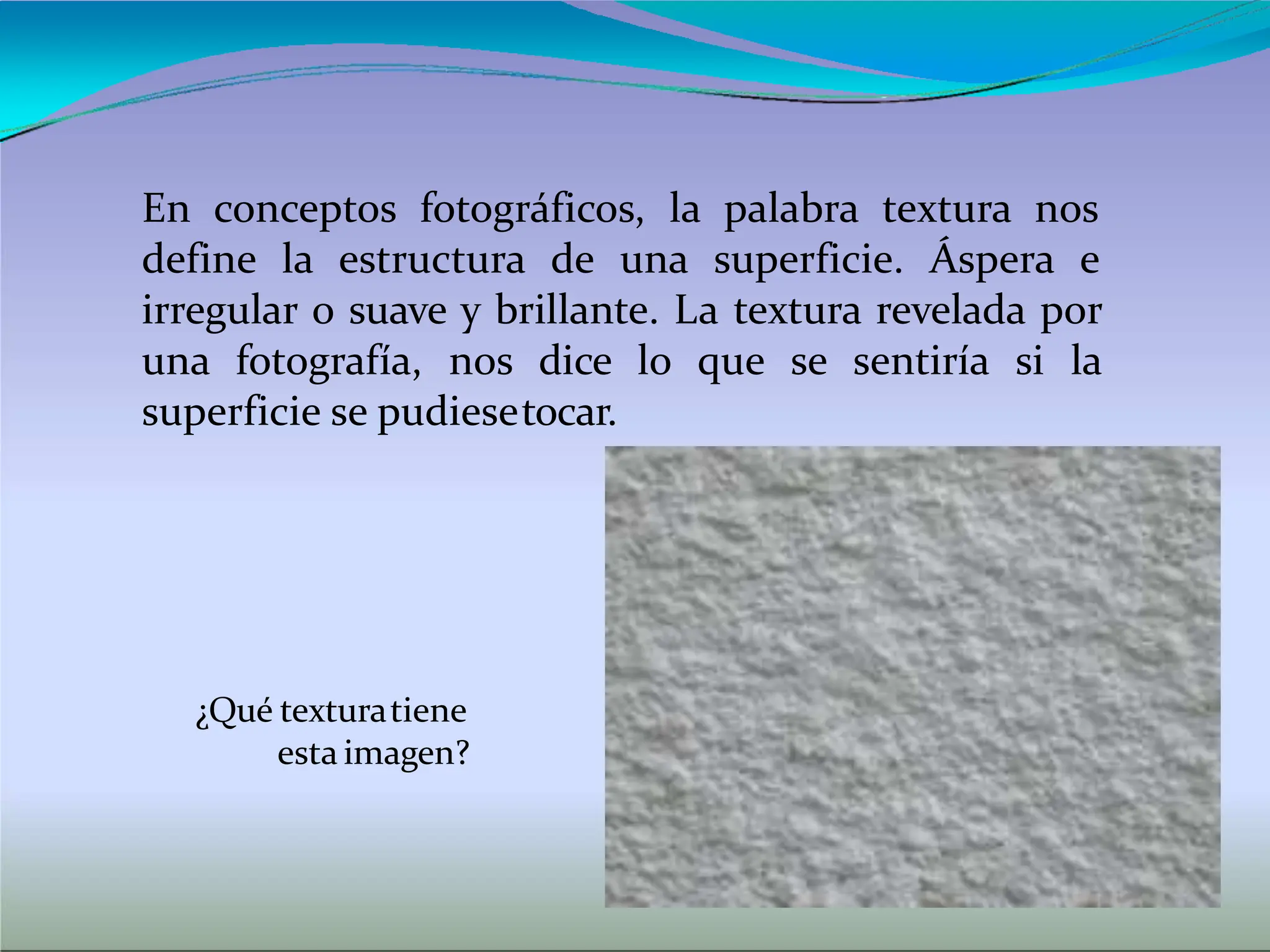 Signos básicos de la imagen: La textura.pptx