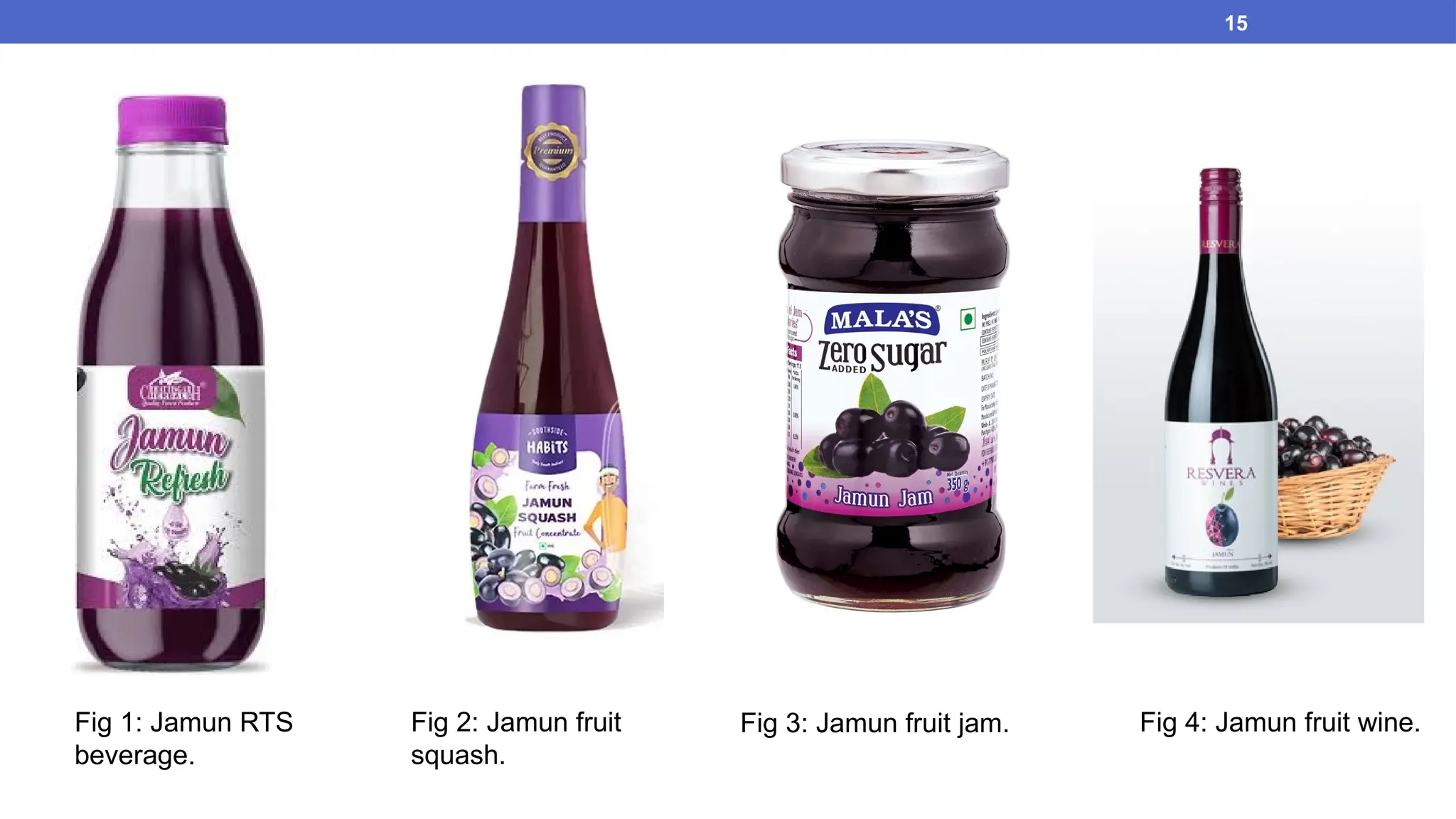 Case study on Jamun fruit/ Syzygium cumini.pptx