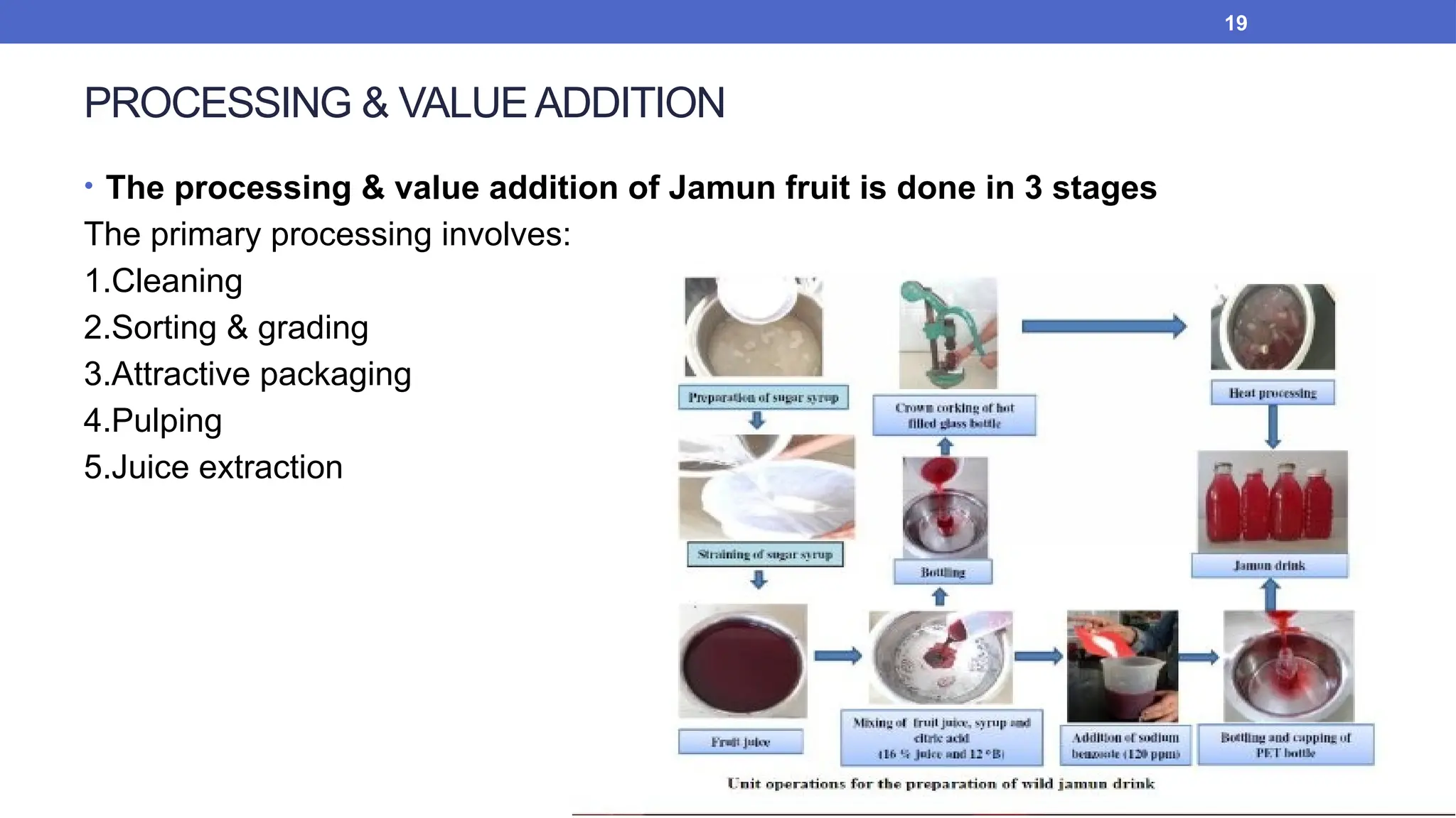 Case study on Jamun fruit/ Syzygium cumini.pptx