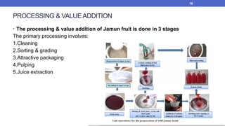 Case study on Jamun fruit/ Syzygium cumini.pptx
