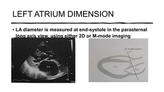 Left atrial thrombus in Echocardiography | PPTX