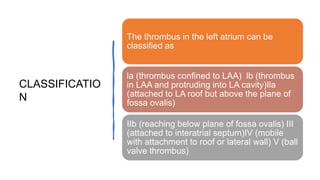 Left atrial thrombus in Echocardiography | PPTX