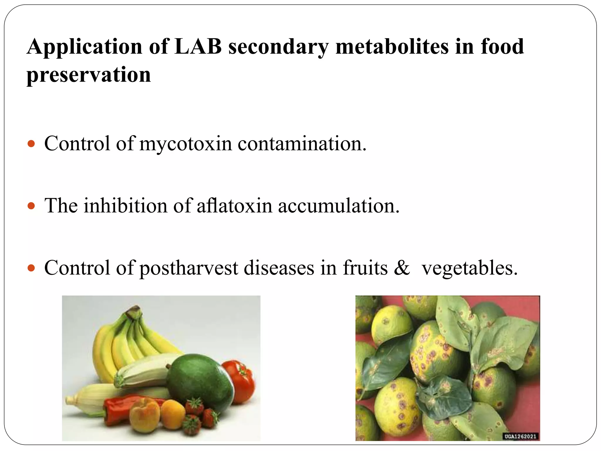 Latic acid bacteria as natural preservatives | PPT