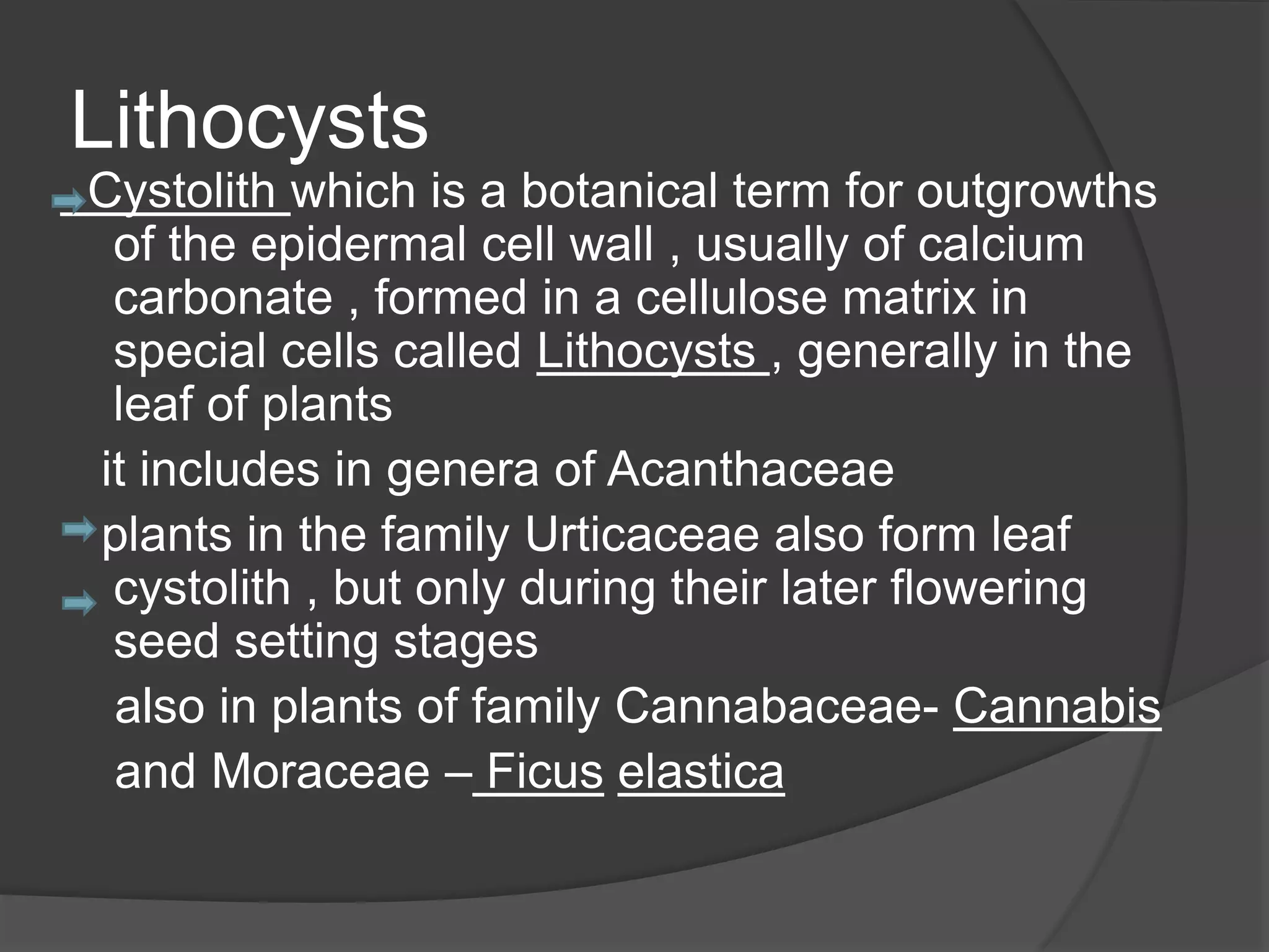 Laticifers | PPTX | Gardening | Home & Garden