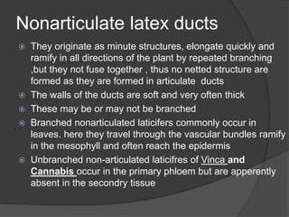 Laticifers | PPTX | Gardening | Home & Garden