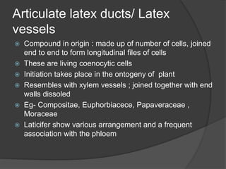 Laticifers | PPTX | Gardening | Home & Garden