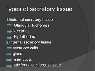 Laticifers | PPTX | Gardening | Home & Garden