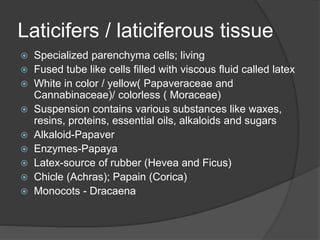 Laticifers | PPTX | Gardening | Home & Garden