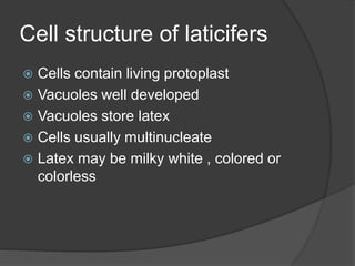 Laticifers | PPTX | Gardening | Home & Garden