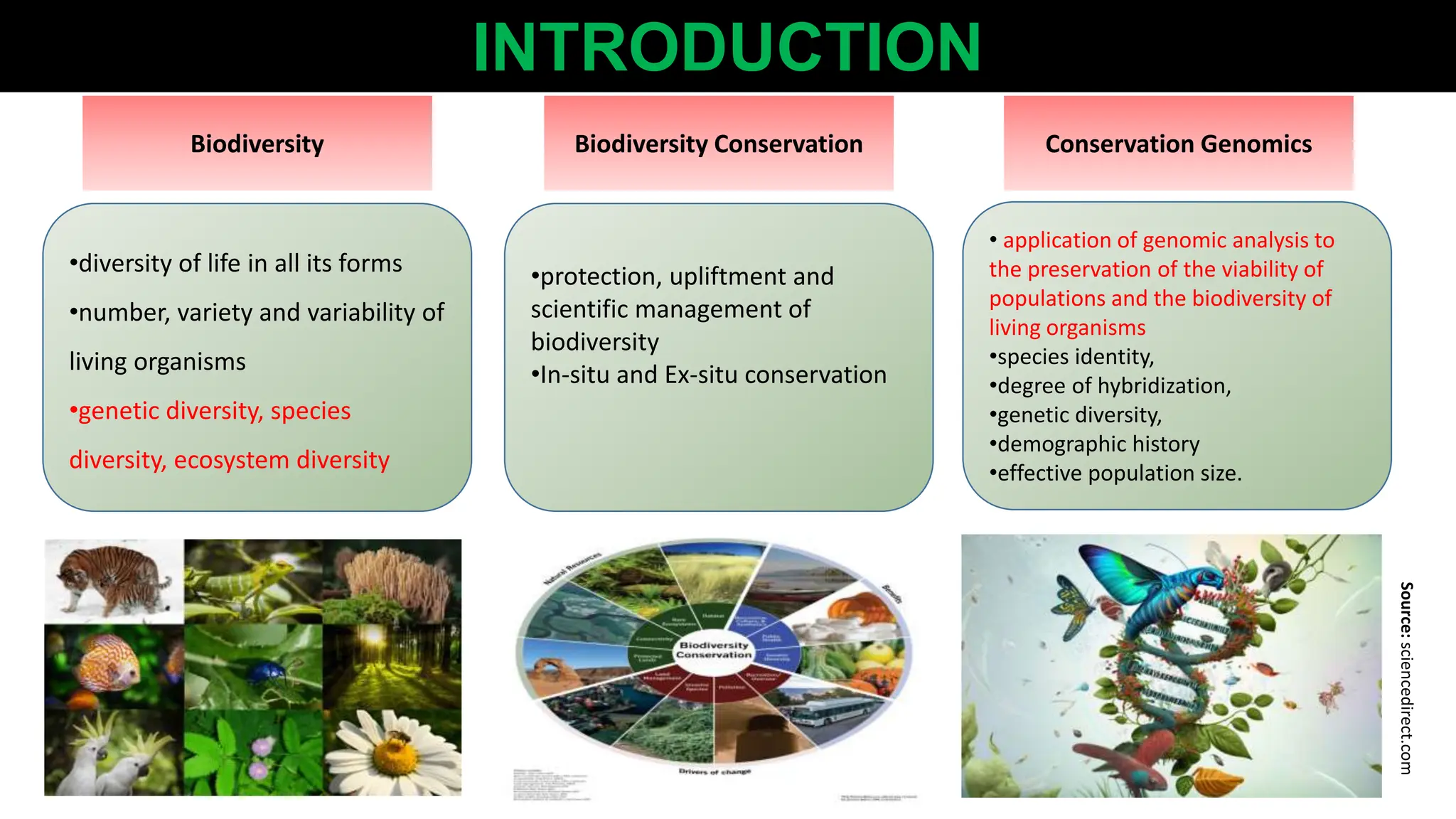Genomics Assisted biodiversity conservation_12261.pptx