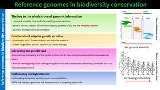 Genomics Assisted biodiversity conservation_12261.pptx