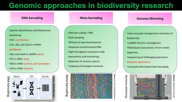 Genomics Assisted biodiversity conservation_12261.pptx