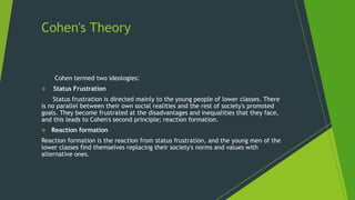 Chapter 11 theoretical Criminology perspective | PPTX