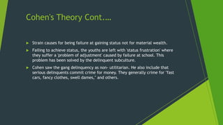 Chapter 11 theoretical Criminology perspective | PPT