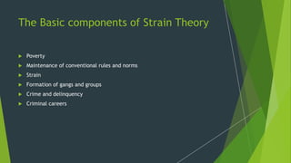 Chapter 11 theoretical Criminology perspective | PPTX