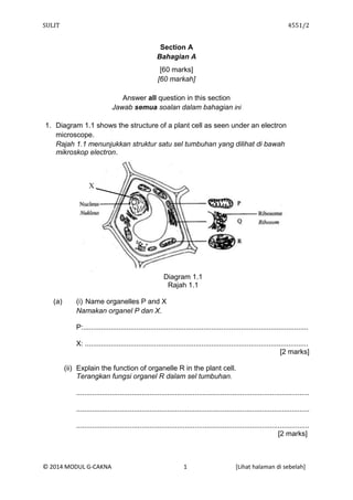 Latihan kertas-2-biologi | PDF
