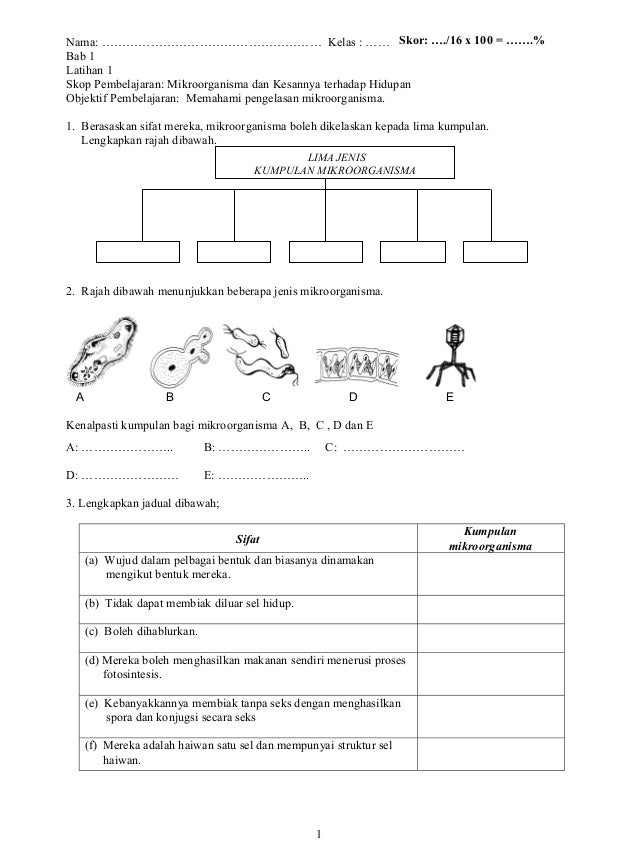 Soalan Kbat Sains Tingkatan 3 Bab 1 Sains Tingkatan 3 Bab 1 Worksheet