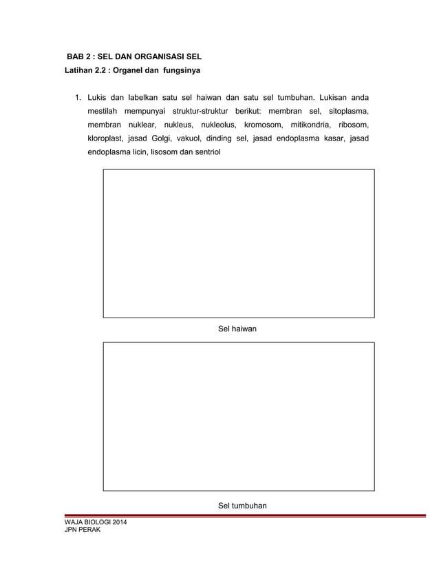 Latihan 2.2 organel dan fungsinya[2 3] | DOC