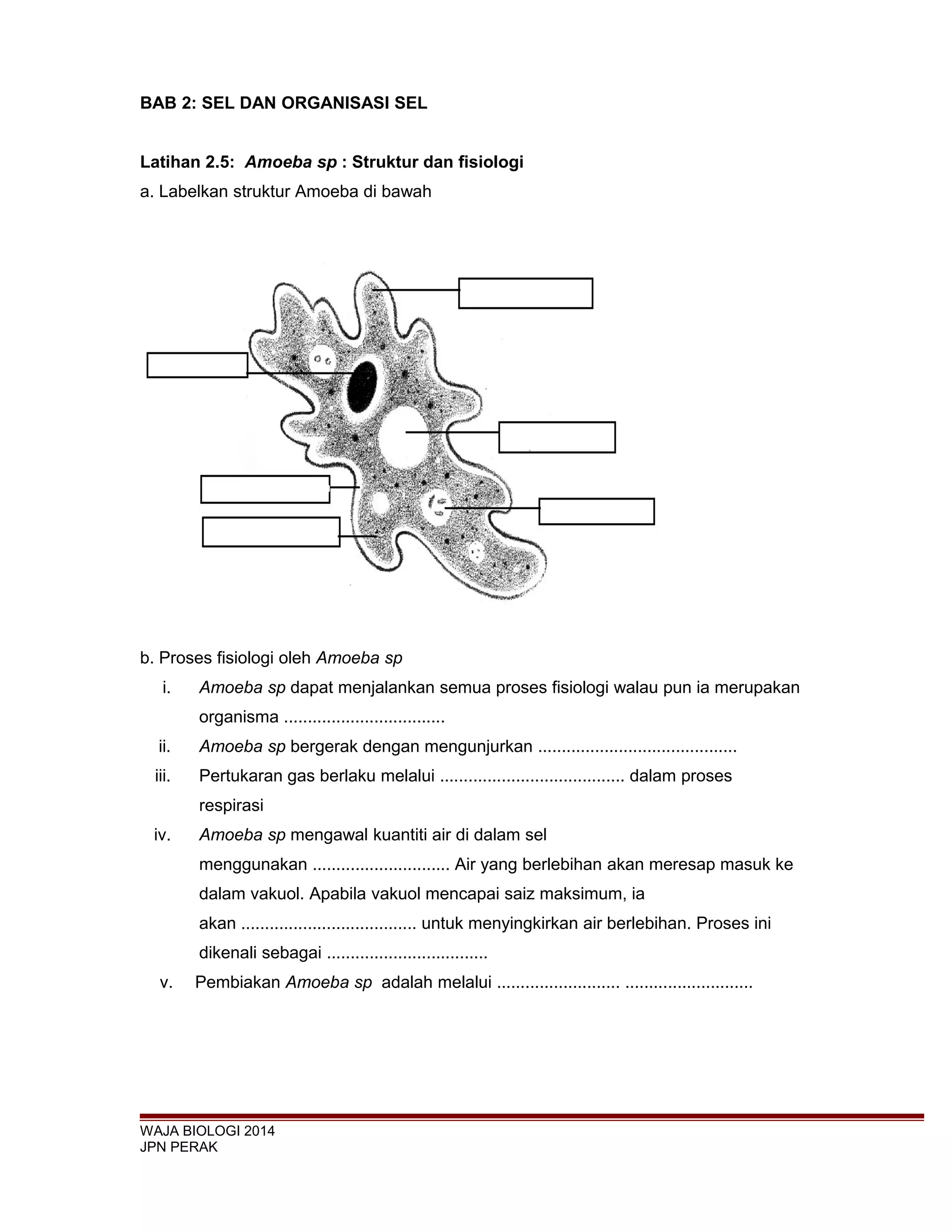 Latihan 2.5 organisma unisel amoeba[7 8] | DOC