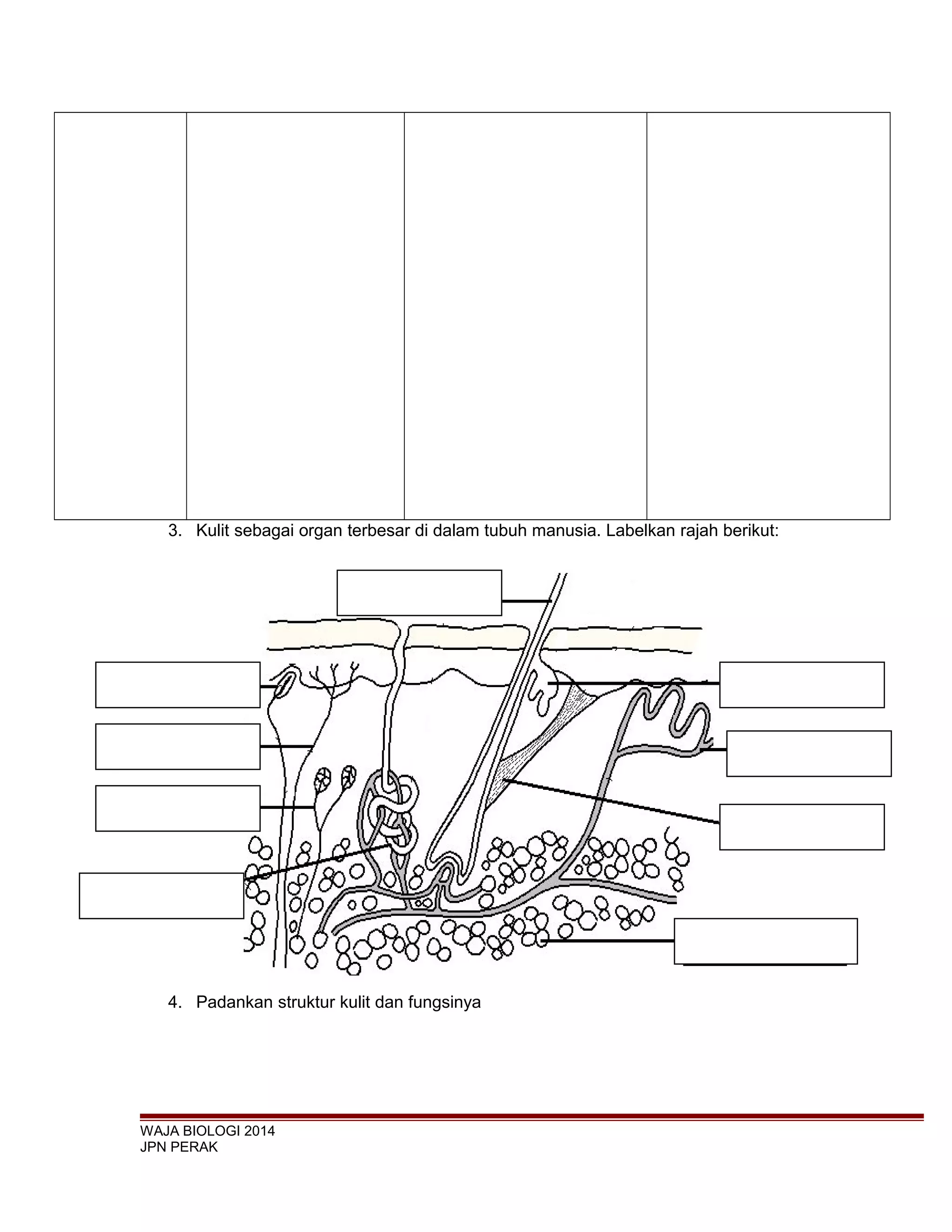 Latihan 2.6 organisasi sel dalam organisma multisel[9 13] | PDF