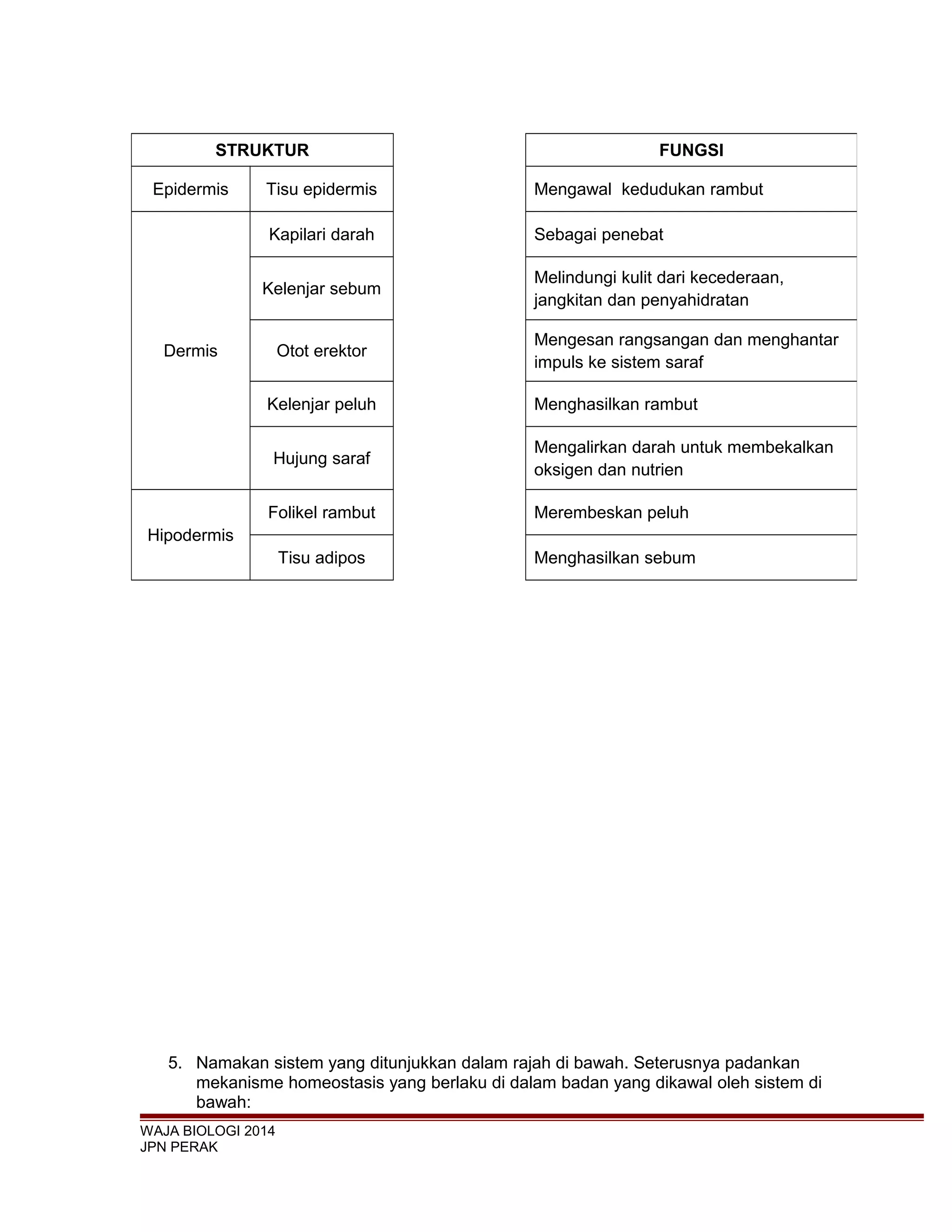 Latihan 2.6 organisasi sel dalam organisma multisel[9 13] | PDF