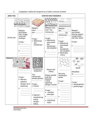 Latihan 2.6 organisasi sel dalam organisma multisel[9 13] | PDF